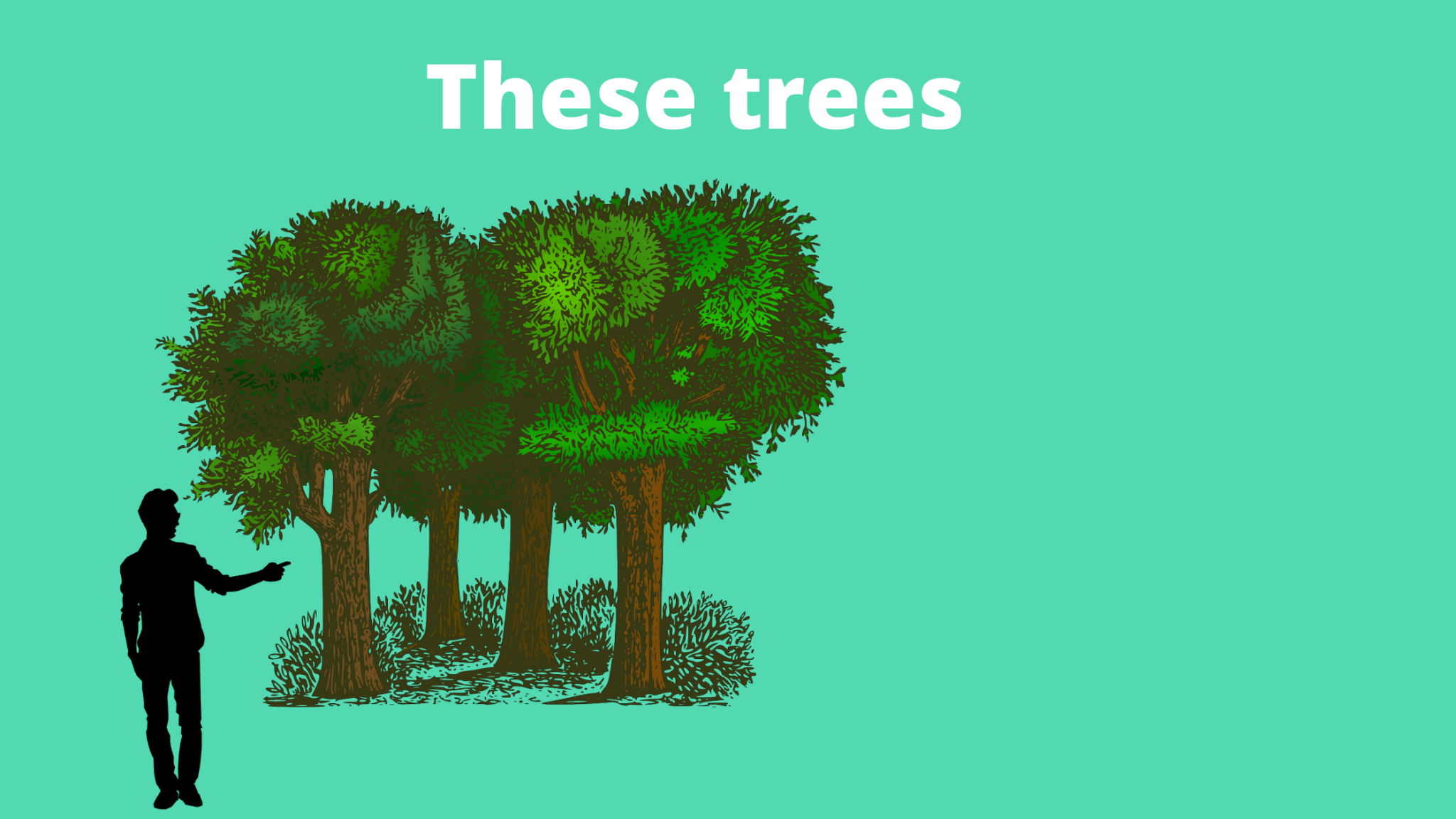 This, That, These, Those (Example Sentences) - One Minute English