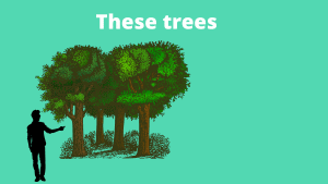 This, That, These, Those (Example Sentences) - One Minute English