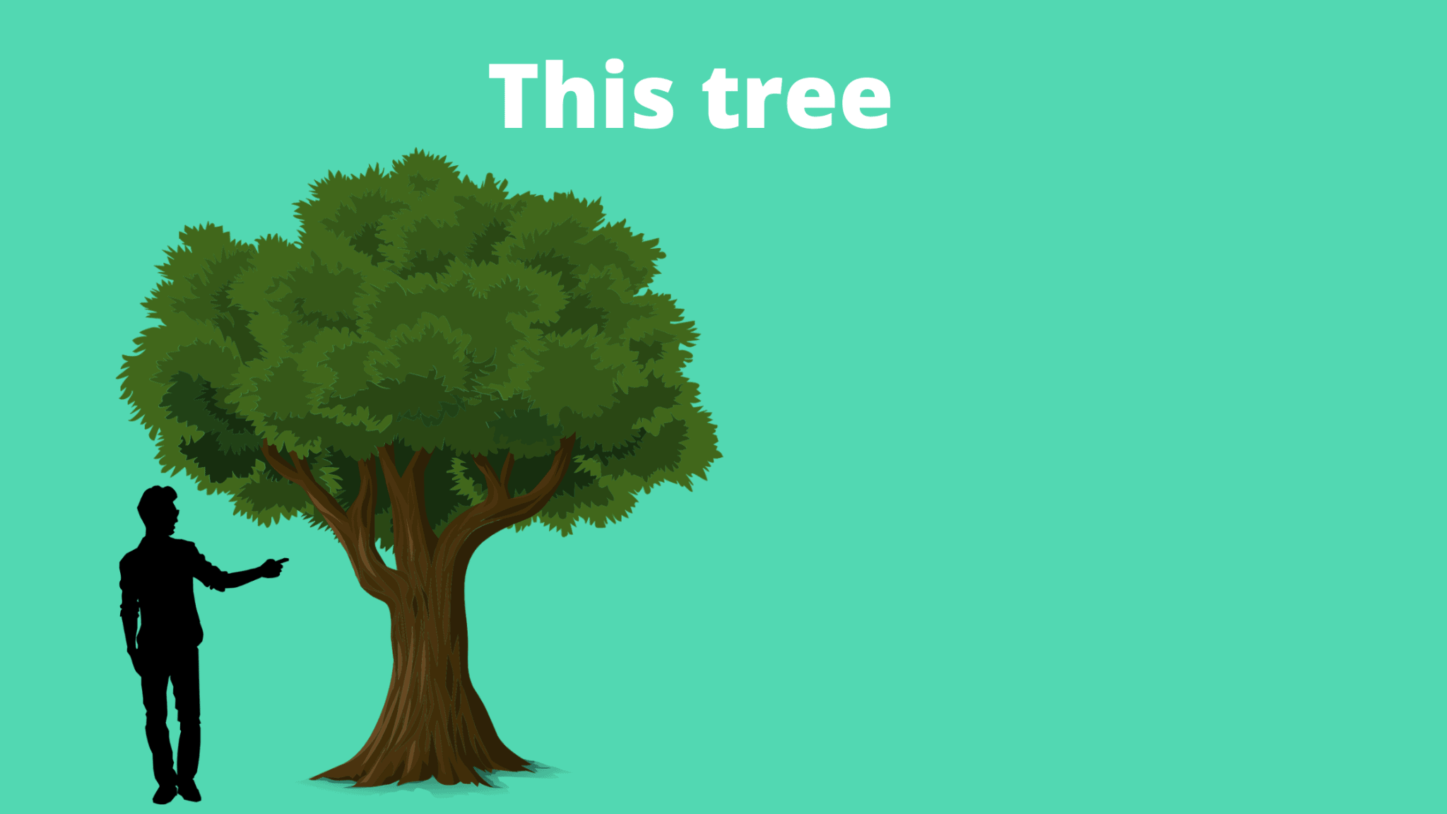 This, That, These, Those (Example Sentences) - One Minute English