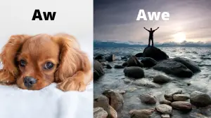 Aw vs Awe? What's the Difference? - One Minute English